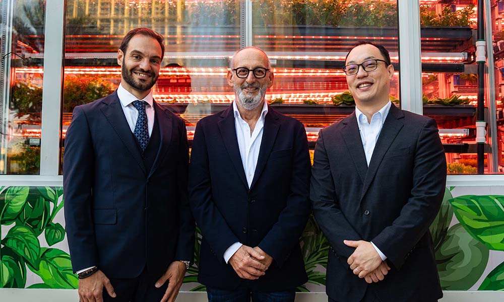UAE's Crysp Farms and Alesca Technologies cultivate new strategic ...